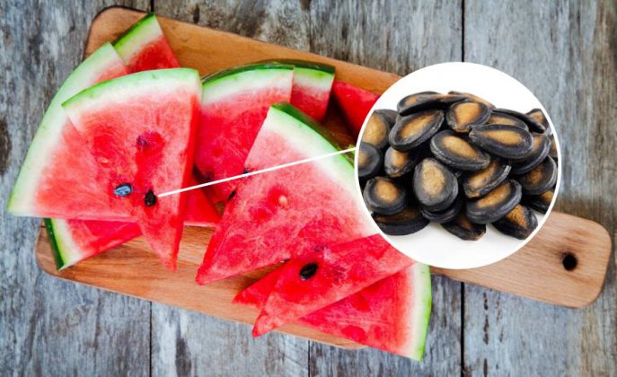 Kuatkan Akar Rambut, Ini Khasiat Biji Buah Tembikai - MASKULIN